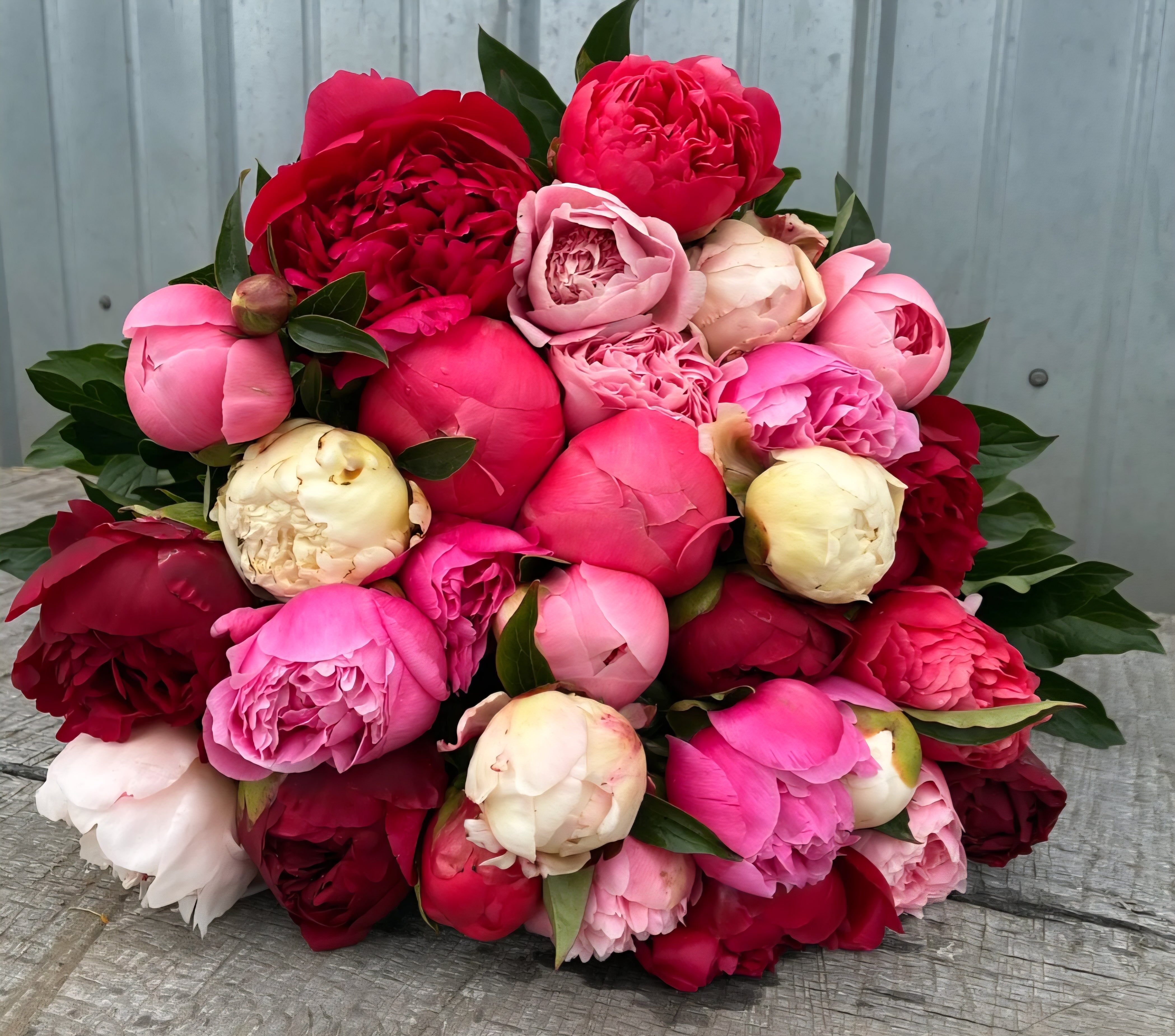 Paeonies are in full season there is a stunning selection of colours ...